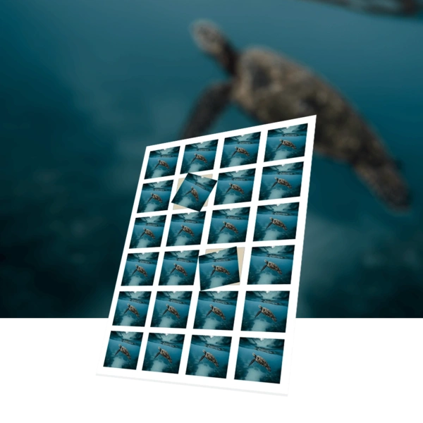 Stickers on a Sheet | Prontaprint Chiswick