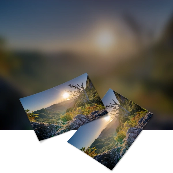 Uncoated Flyers | Prontaprint Chiswick